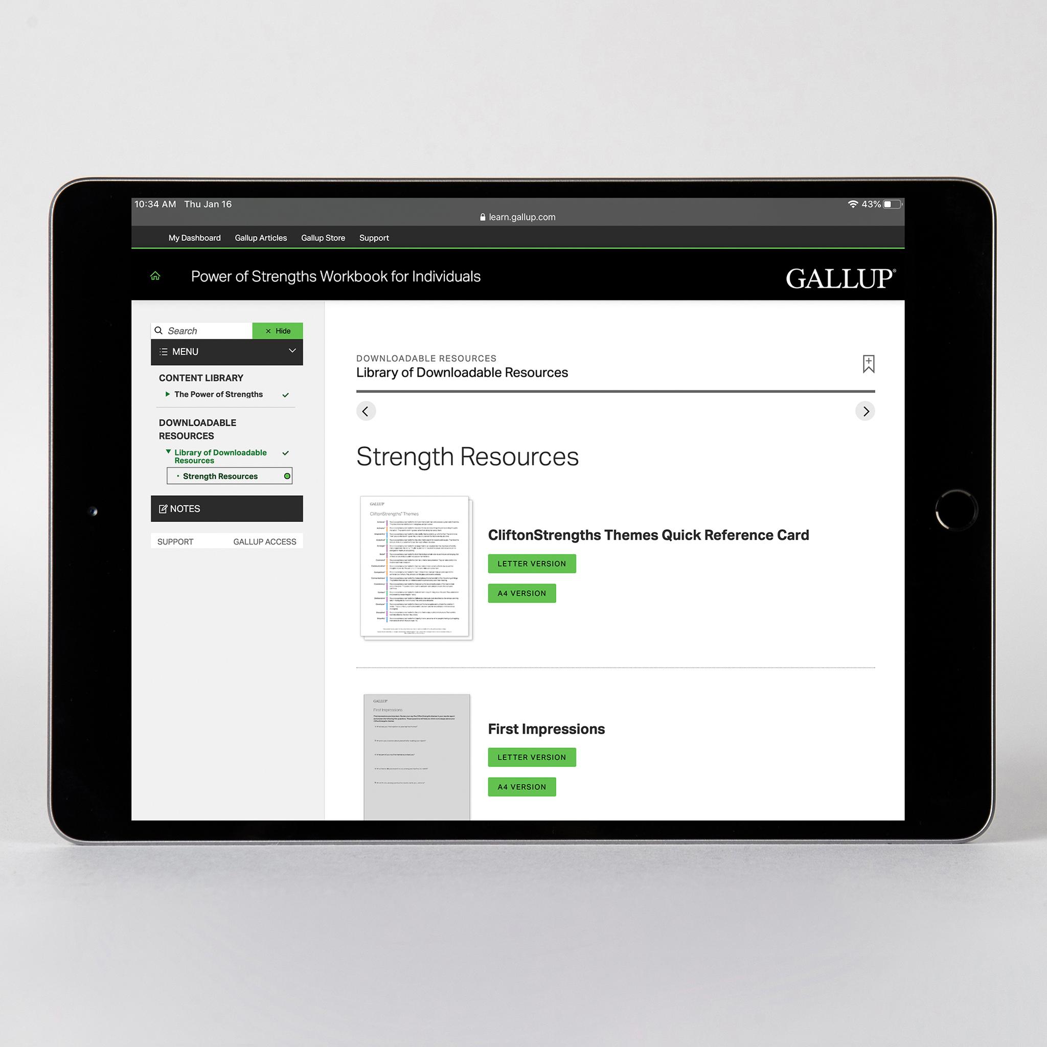 Power of Strengths Workbook for Individual Contributors (Digital) | en ...