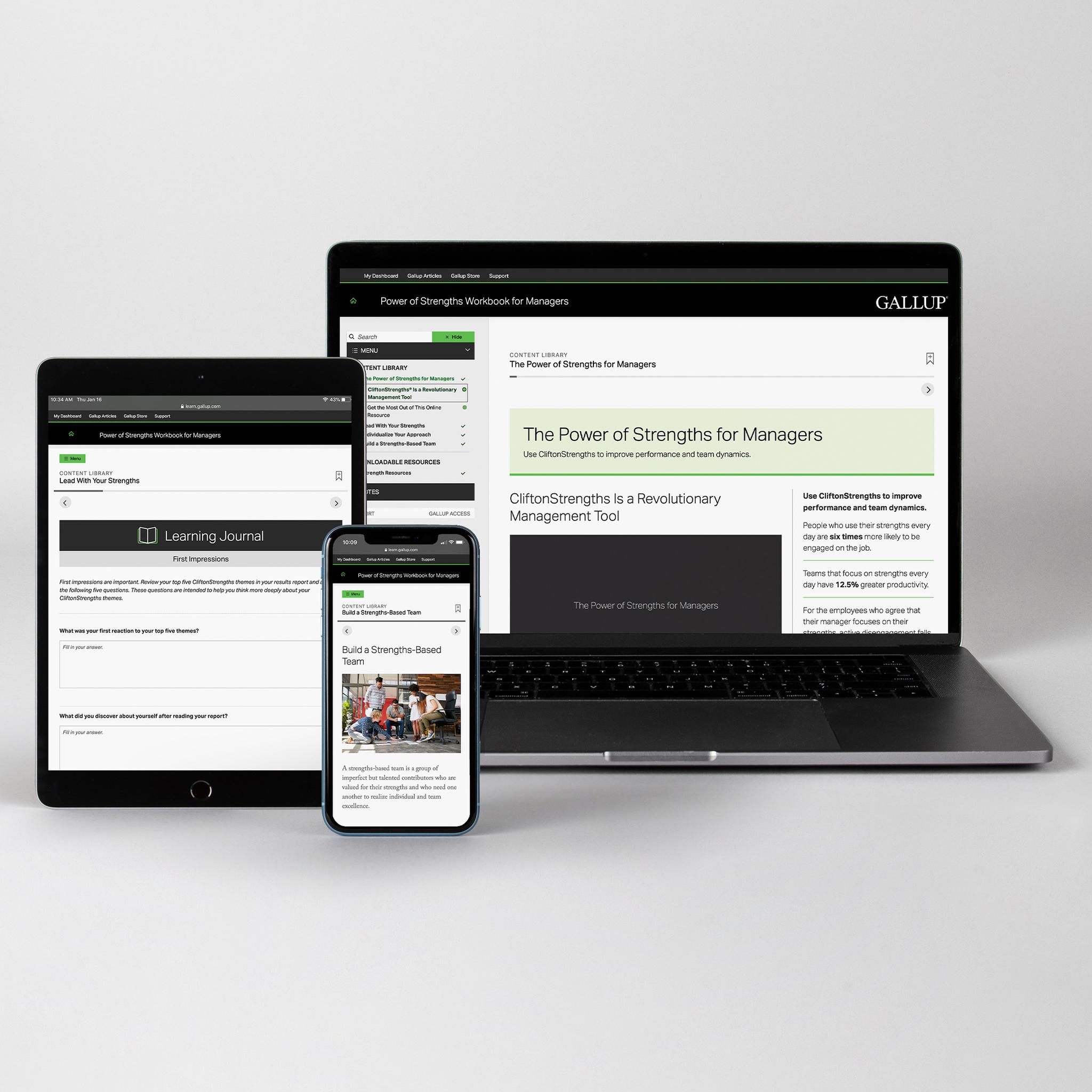 Power of Strengths Workbook for Managers (Digital) | en-us - Gallup