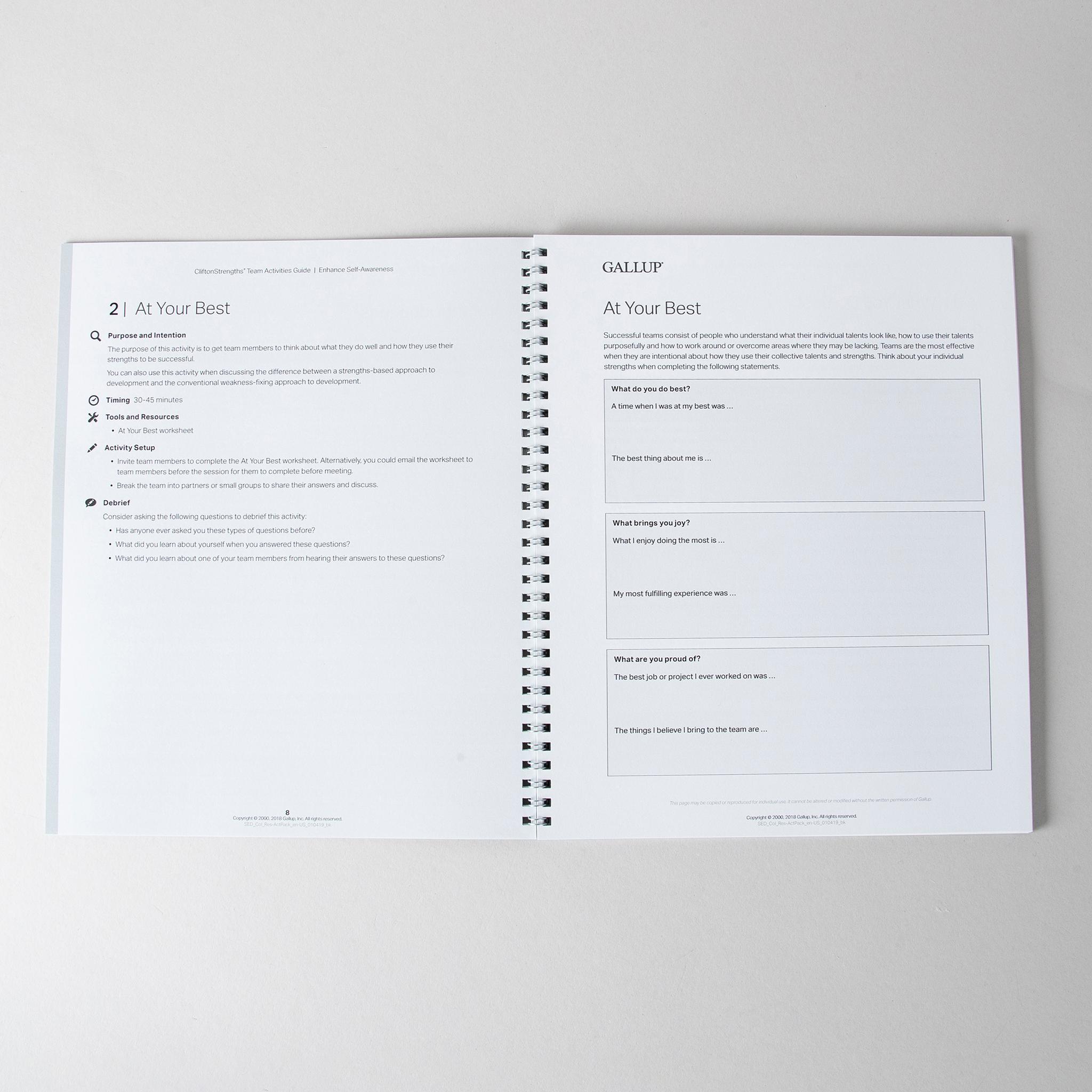 CliftonStrengths Team Activities Guide (Set of 5) | en-us - Gallup
