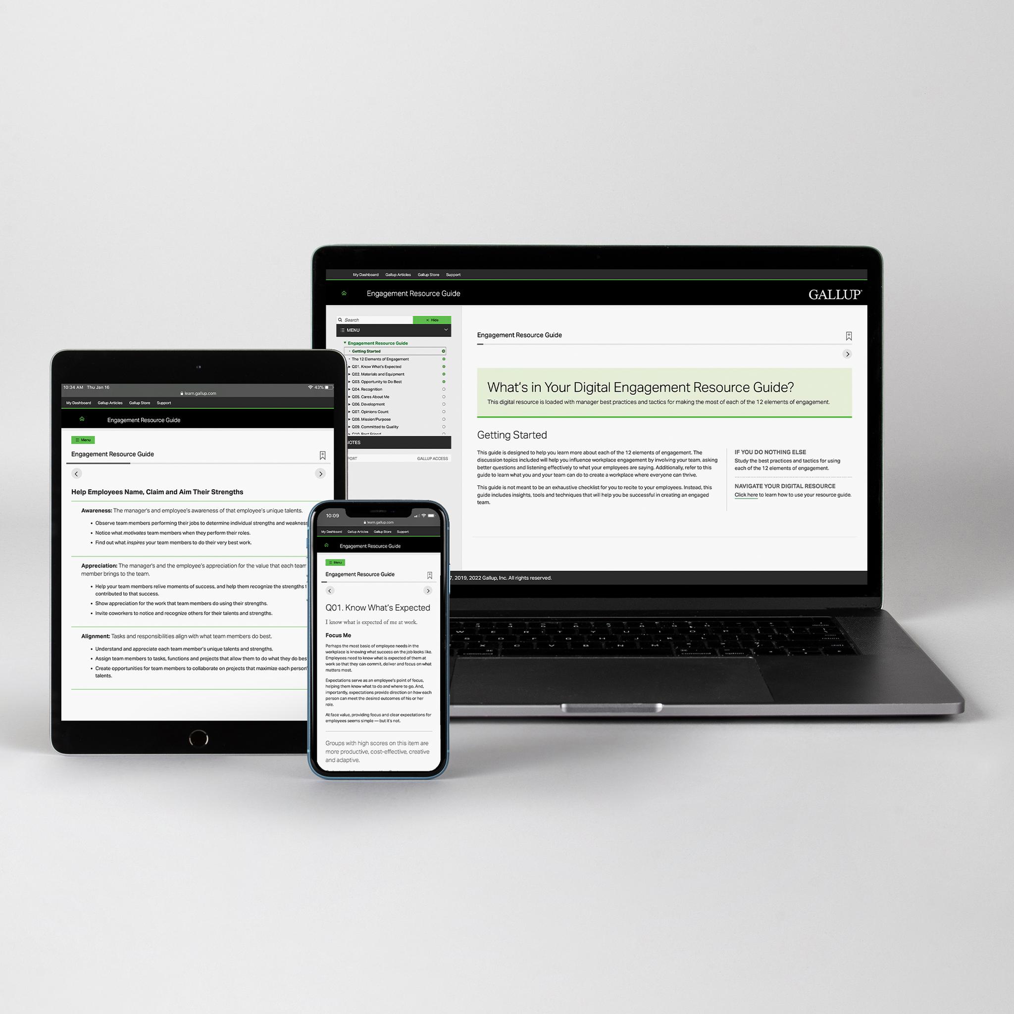 Engagement Resource Guide (Digital) | en-us - Gallup