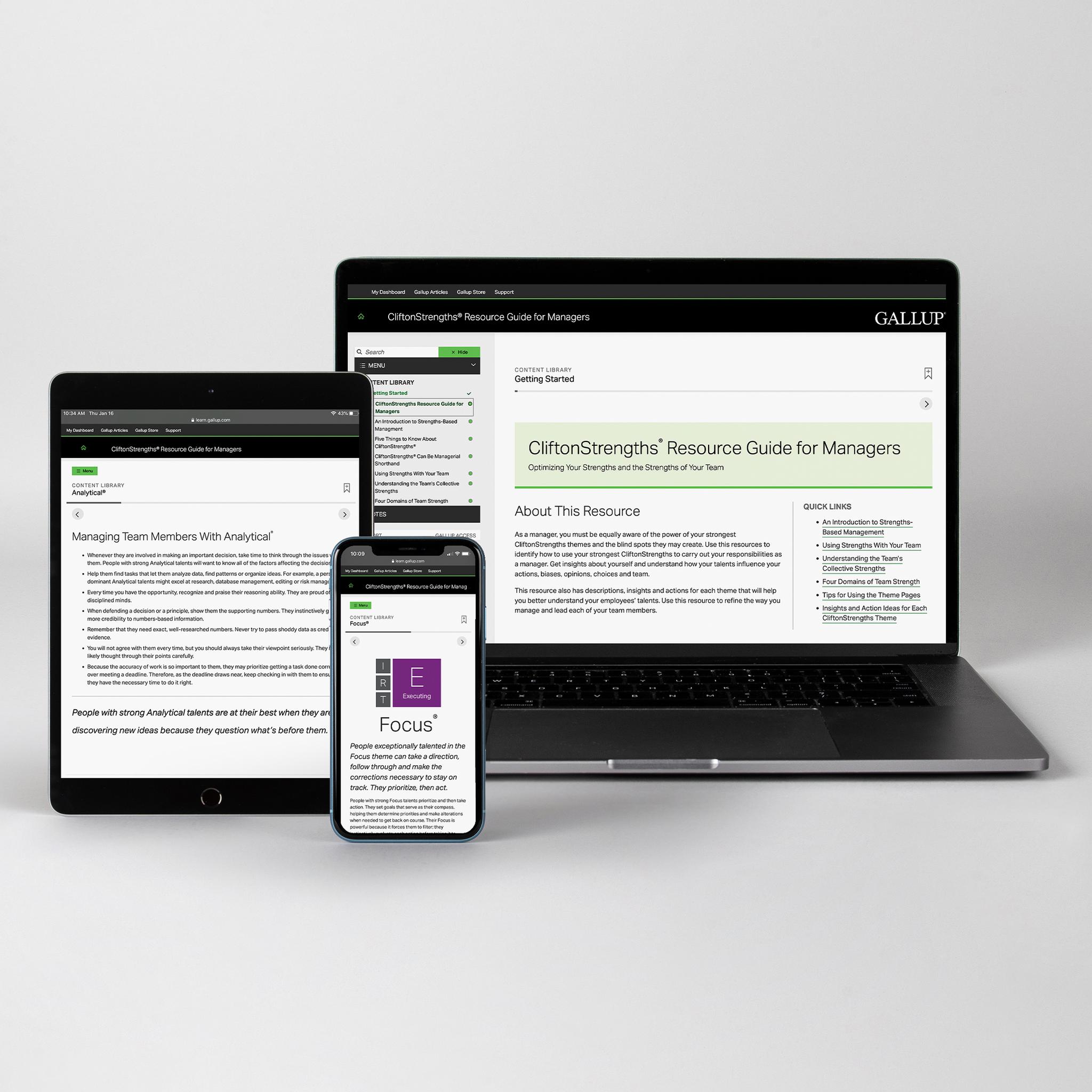 CliftonStrengths Resource Guide for Managers (Digital) | en-us - Gallup