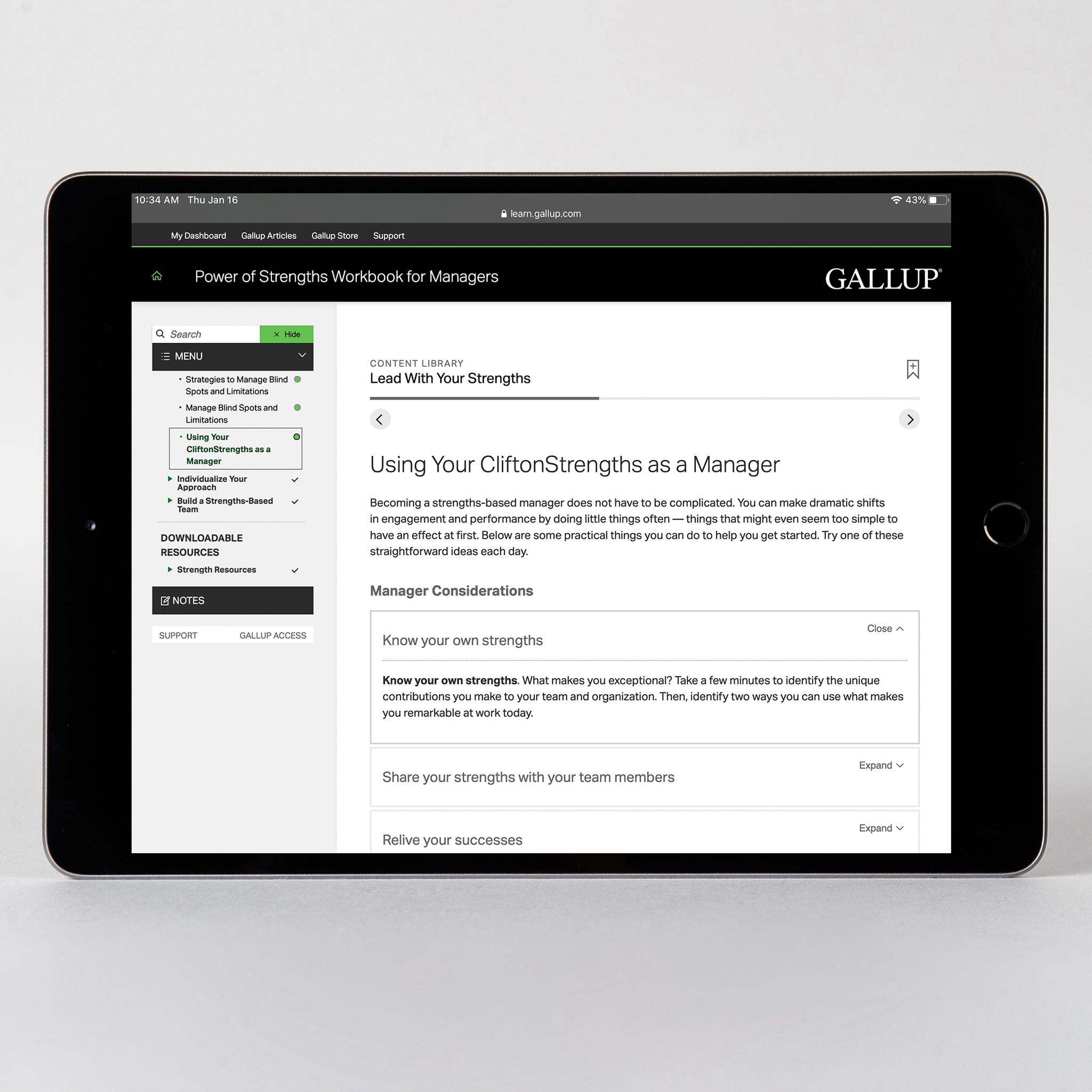 Power of Strengths Workbook for Managers (Digital) | en-us - Gallup