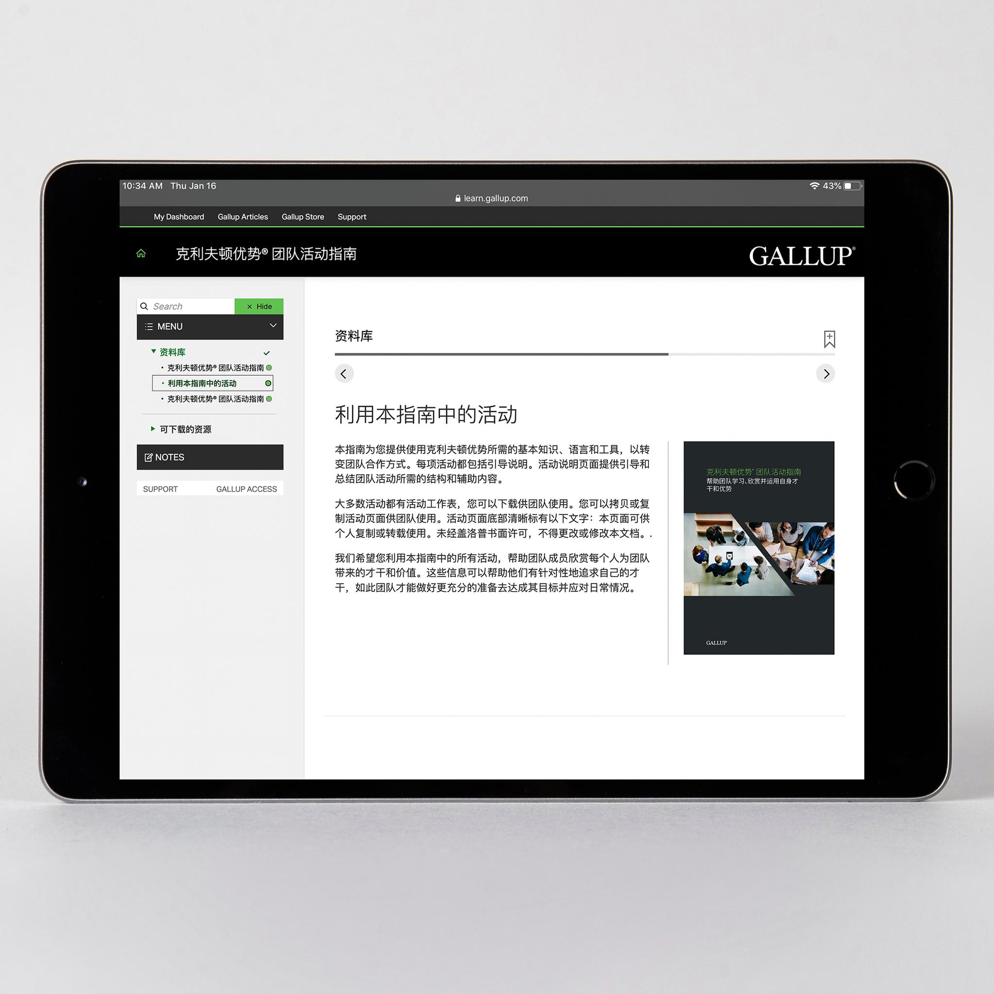 CliftonStrengths Team Activities Guide - International Edition (Digital) | en-us - Gallup