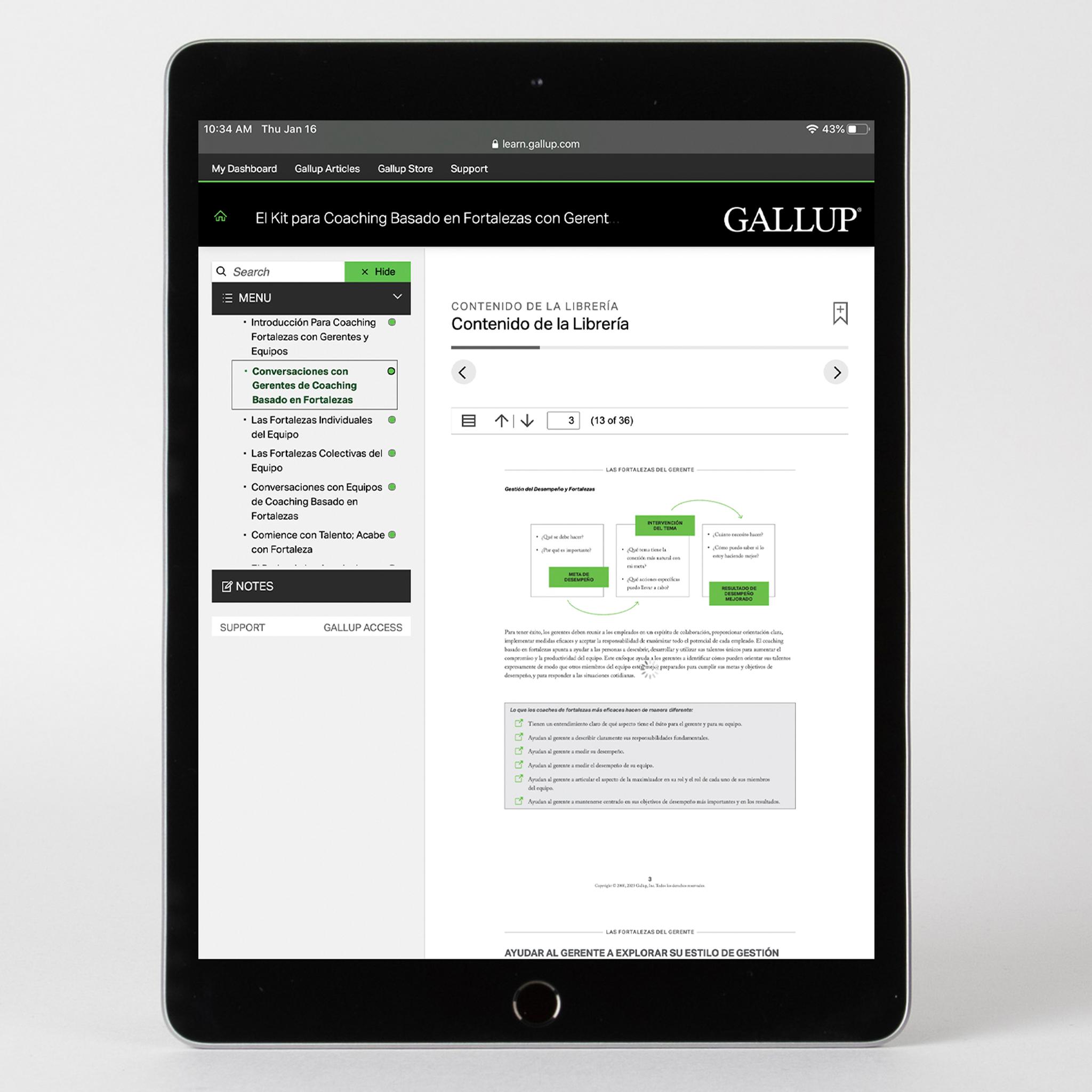 Strengths-Based Coaching With Managers and Teams Kit - International ...