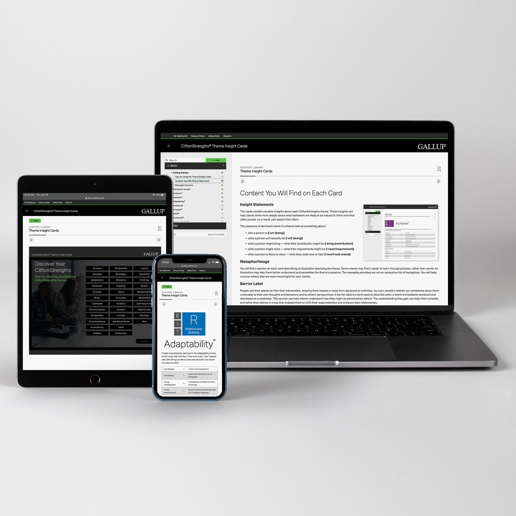 CliftonStrengths Theme Insights Cards for Coaches (Digital) | en-us ...