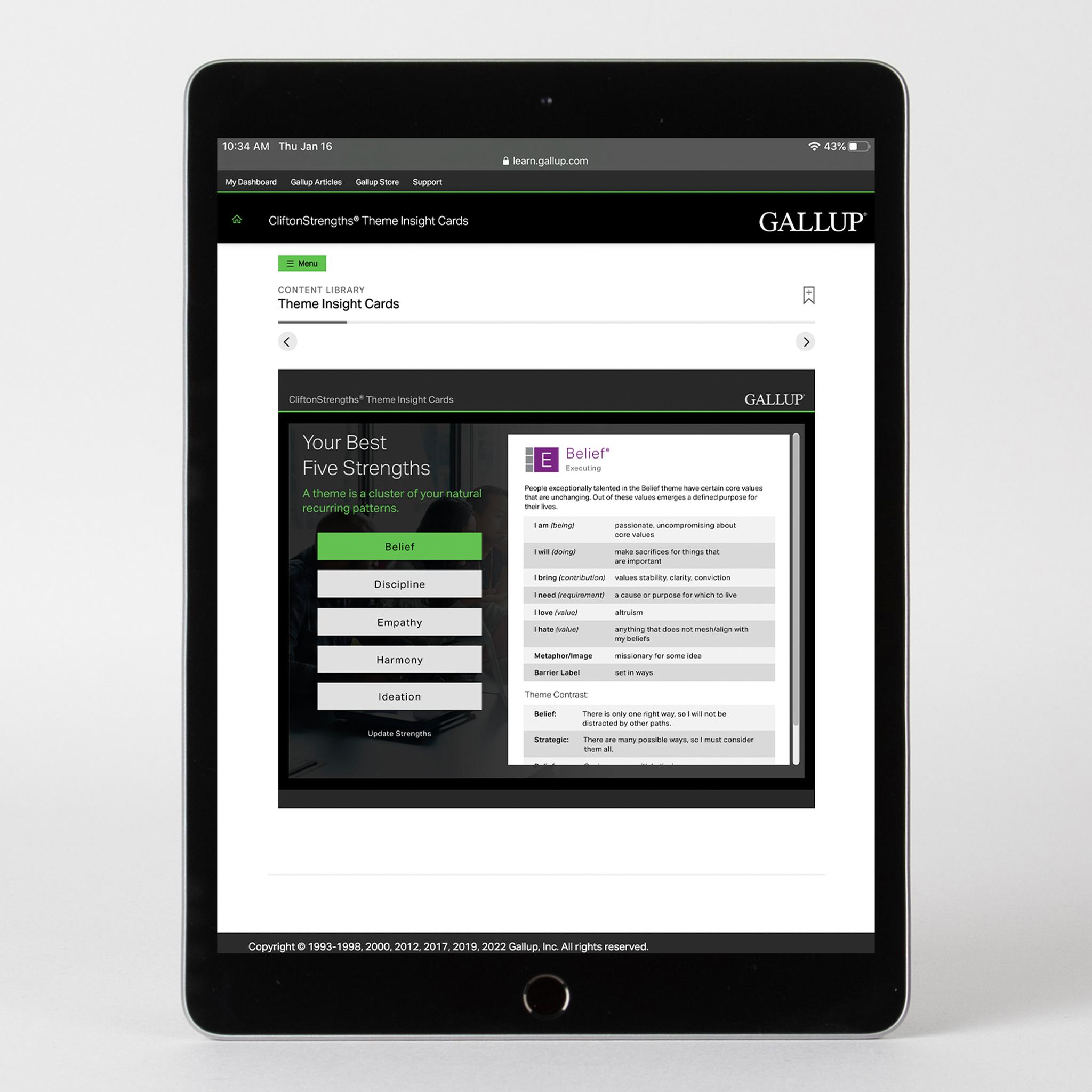 CliftonStrengths Theme Insights Cards for Coaches (Digital) | en-us ...