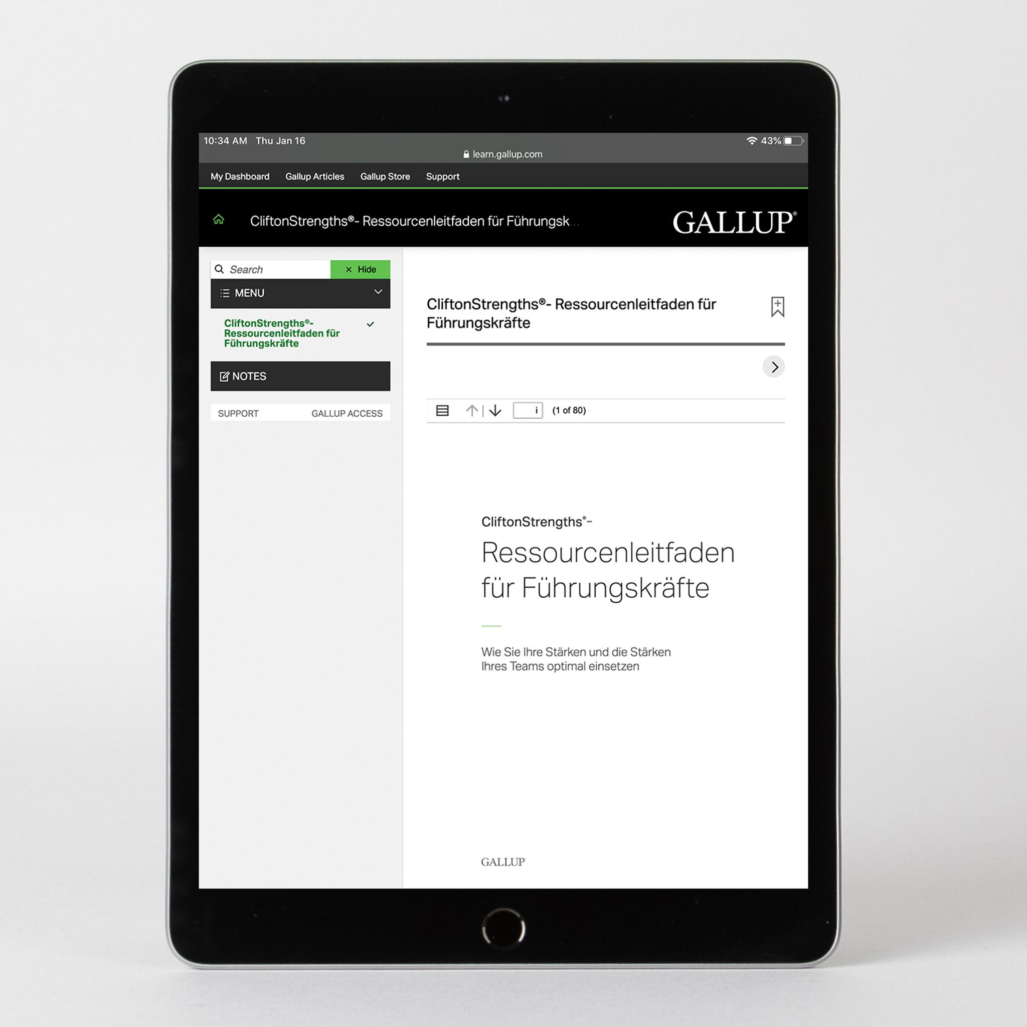CliftonStrengths Resource Guide for Managers - International Edition ...